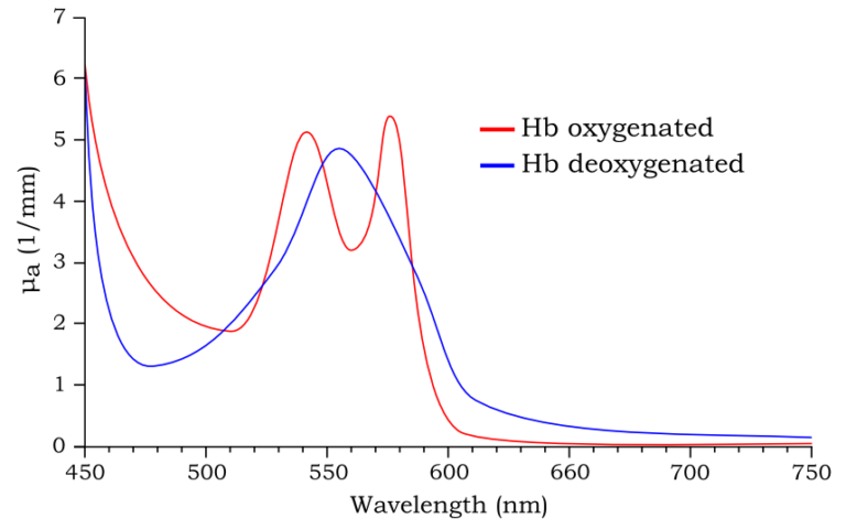 Buckets of Blood: Absorbance Spectra Comparison with Fake Blood - Avantes