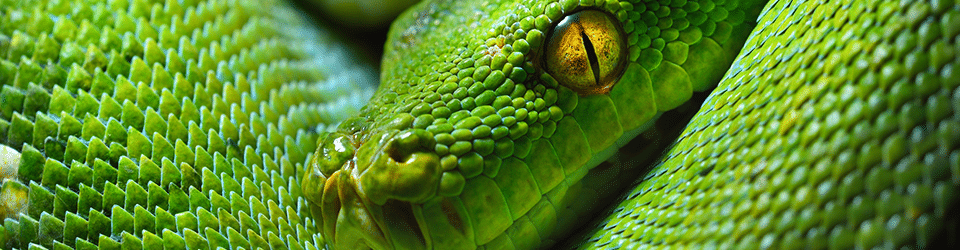 Python Project Development for Spectroscopy (part 2)- Technote - Avantes