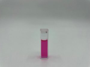 Fluorescence of Anthocyanins in Blueberries - Avantes