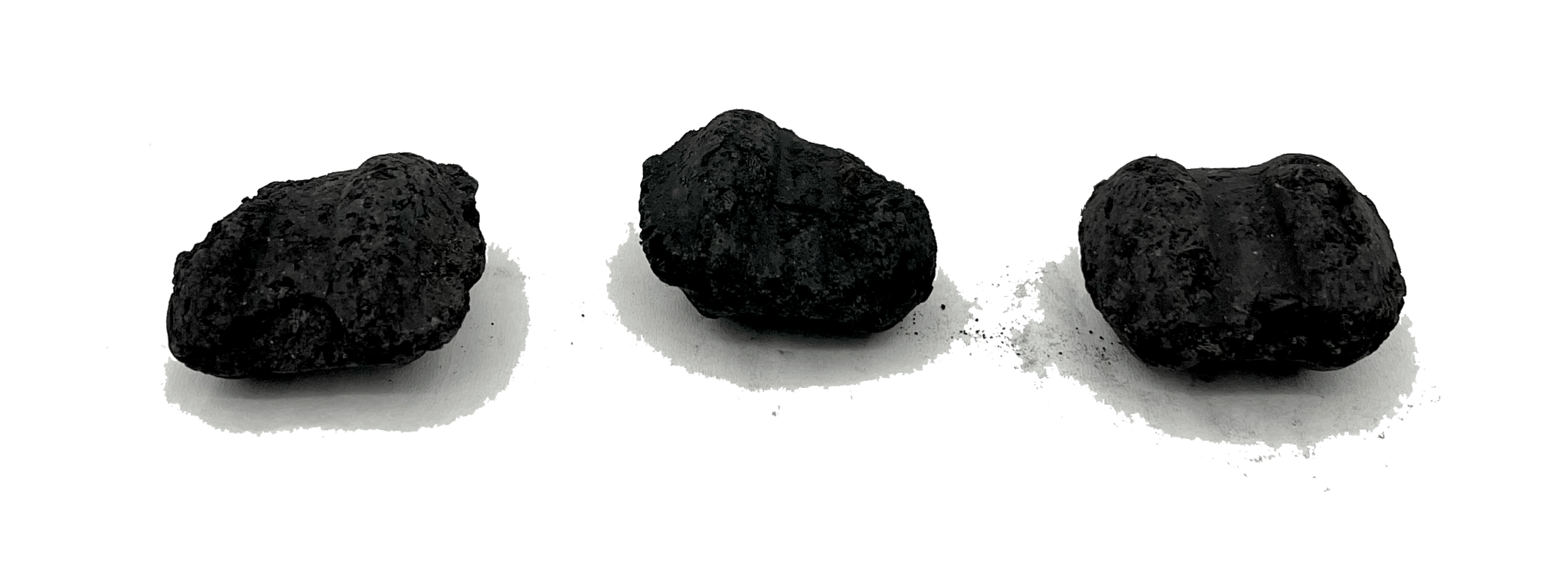 Unveiling the Elemental Composition of Coal with LIBS - Avantes